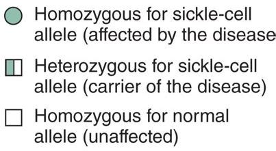 Look At The Following Pedigree Chart And Determine Chegg Com