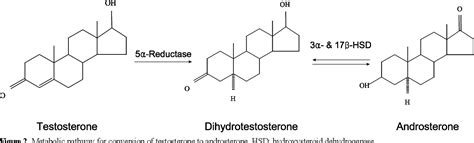 Androsterone Structure
