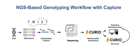 Twist Flexprep Uht Library Preparation Kit Twist Bioscience