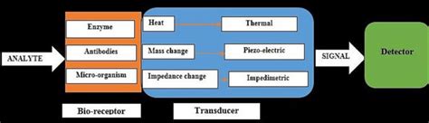 Schematic Representation Of Biosensor Components Download Scientific Diagram