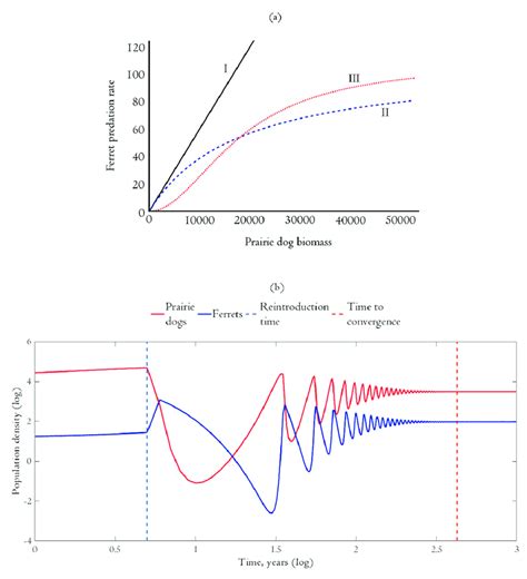 Ferret Predator Response Functions A And Example Population Dynamics