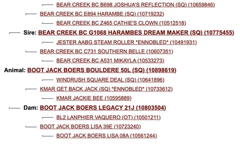 Boot Jack Boers Making The Grade Sale