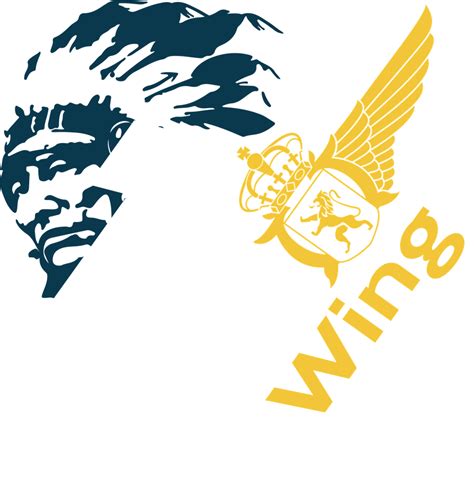 15th Wing Air Transport