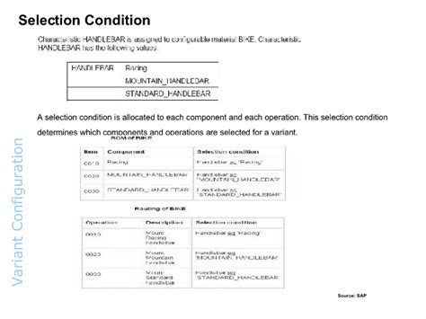 Variant Configuration Overview Pdf Computer Software And