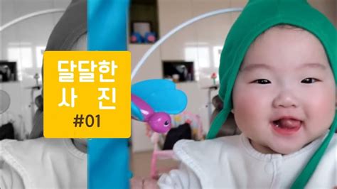 아린이 돌 동영상 Youtube