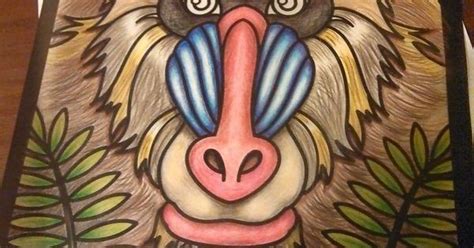 Mandrill Facts Album On Imgur
