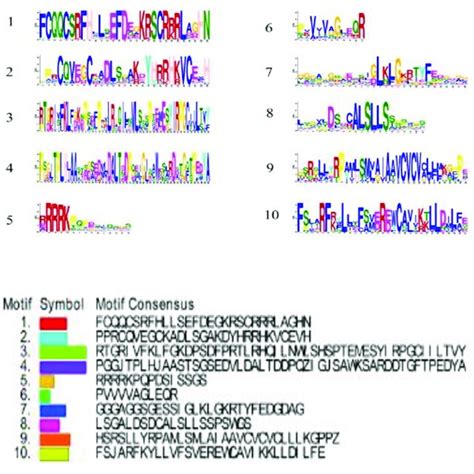 Motif Analysis Of Egspl Proteins Using The Meme Tool Presence Of 1 10