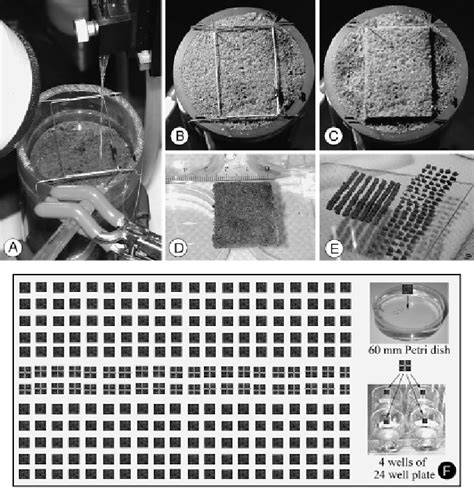 A Microelectrode Measurements In The Core B Re Positioning Of The
