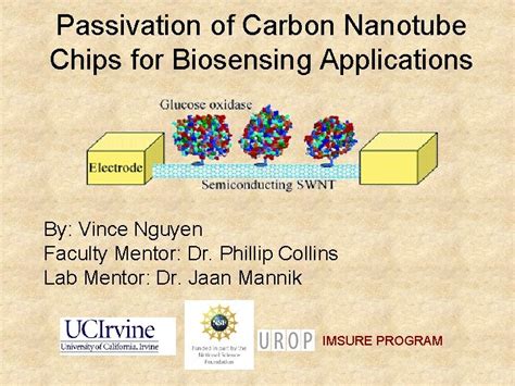 Passivation Of Carbon Nanotube Chips For Biosensing Applications