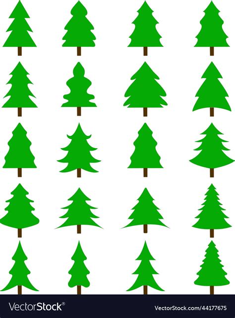 Pine Tree Green Collection Wild Nature Trees Vector Image