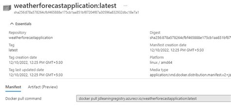 Deploy And Run Net Core Web Api On Azure Container Registry And Container Instance