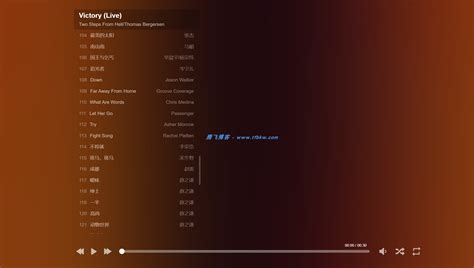 heomusic 开源静态音乐播放器源码