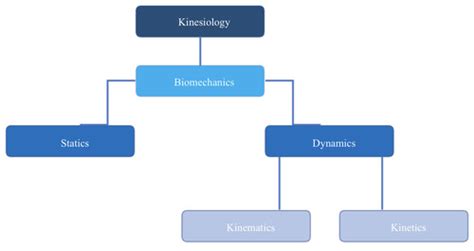 Definitions And Principles Flashcards Quizlet