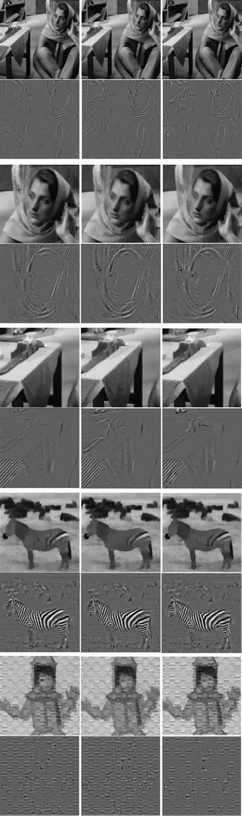 figure 2 from image decomposition and texture segmentation via sparse