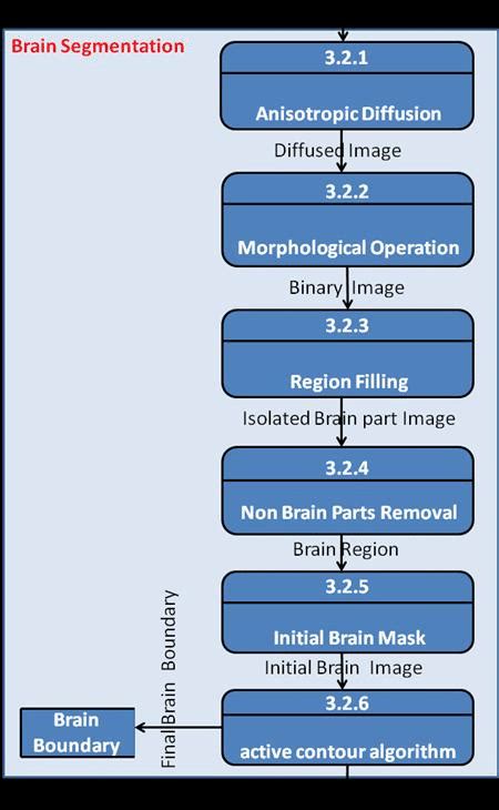 Architecture Of The Brain Segmentation Module Download Scientific Diagram
