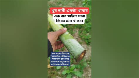 কলা গাছের কান্দাইল শুটকি মাছ দিয়ে রান্না করলে Youtube