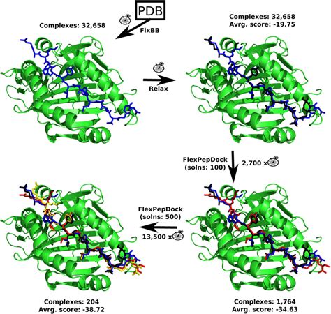 The Sequence On Which The Rosettas Protocols Were Used The Total