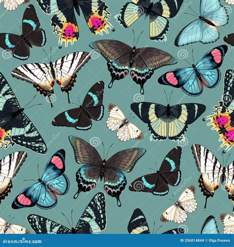 Vector Pattern With High Detailed Tropic Butterfly Stock Vector Illustration Of Graphic