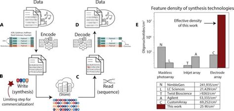 Storing Information In Dna Improving Dna Storage With Nanoscale Electrode Wells Wetenschap