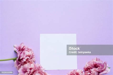 흰 종이 시트와 모란 꽃 평면도와 보라색 배경에 모의 광고 3월에 대한 스톡 사진 및 기타 이미지 3월 8 개념 Istock