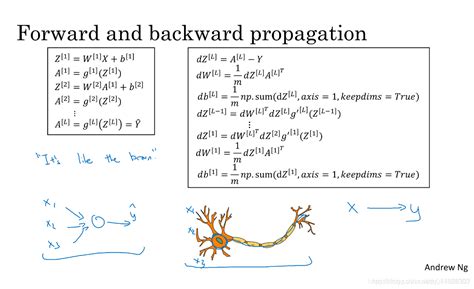Python 深度学习 学习笔记（12）：keras搭建多层神经感知网络（正反向传播）tfkeras 反向传播代码 Csdn博客