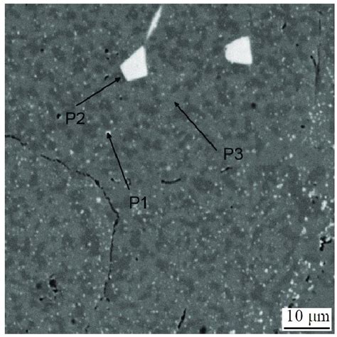 Microstructure Of The Sample In The As Sintered State P1 P3 Mean The