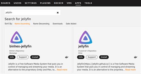 How To Install Jellyfin On Unraid WunderTech