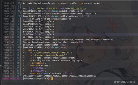 安装elasticsearch、kibana、ik分词器、扩展ik词典 Toy模板网