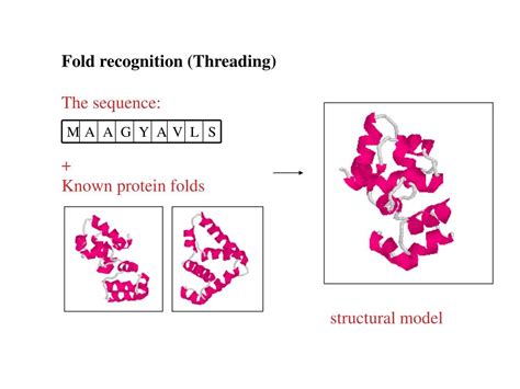Ppt Construyendo Modelos 3d De Proteinas ‘fold Recognition Threading Powerpoint