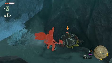 Totk Bug Rtearsofthekingdom