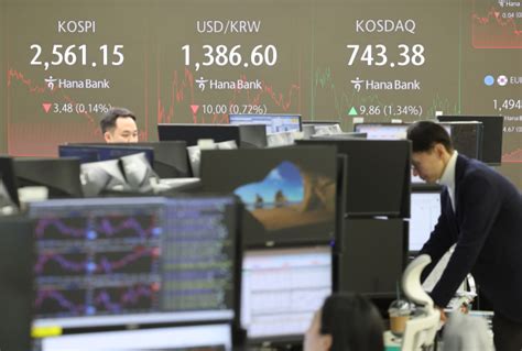 다음주 증시 전망 금리 인하로 ‘트럼프 충격 완화···반도체·2차전지가 상승 주도