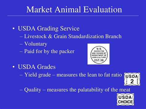 Ppt Beef Carcass Evaluation As101 Powerpoint Presentation Free Download Id1779786