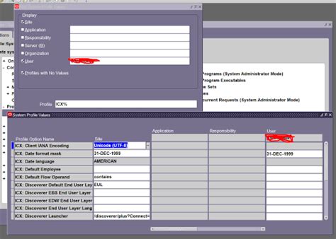 oracle ebs practical approaches user preferences values