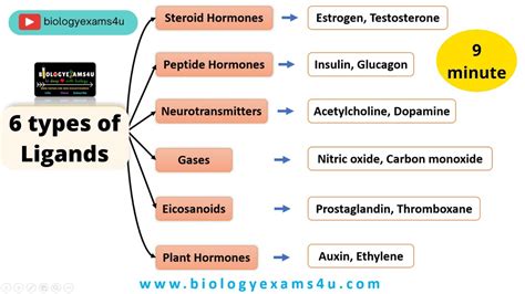 Examples Of Ligands In Chemistry And Biology