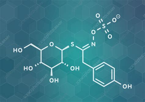 Sinalbin Glucosinolate Molecule Illustration Stock Image F030 0214 Science Photo Library