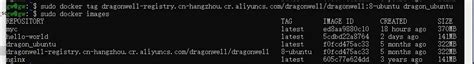 部署django应用：使用gunicorn和nginx构建高效的生产环境 阿里云开发者社区