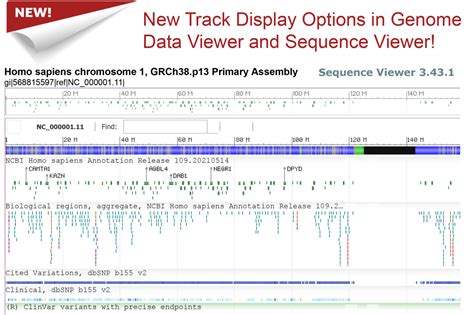 Gene Filtering In Ncbi Sequence Viewer Ncbi Insights