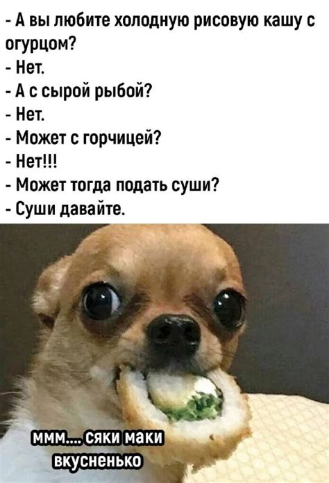 Сяки маки | Пикабу