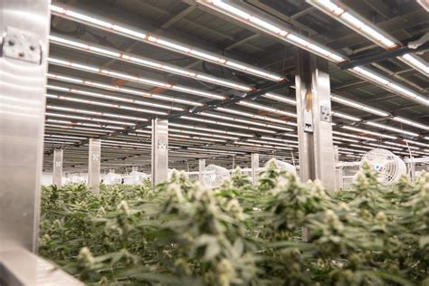 Fluence Debuts Spydr 3 Pioneering Fixture Upgrades Output And