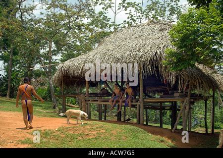 Native Indian Homes At The Embera Indian Village Near Colon Panama