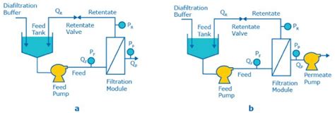 Scalable Tangential Flow Filtration Tff For Downstream Processing Of