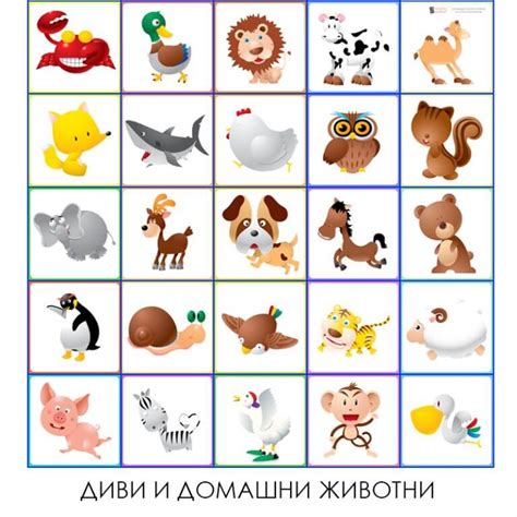 Диви и домашни животни Иновации и консултиране