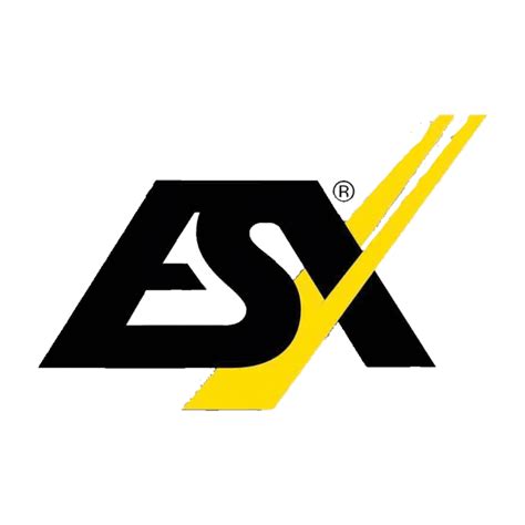 ΣΥΣΤΗΜΑΤΑ ΗΧΟΥ Esx