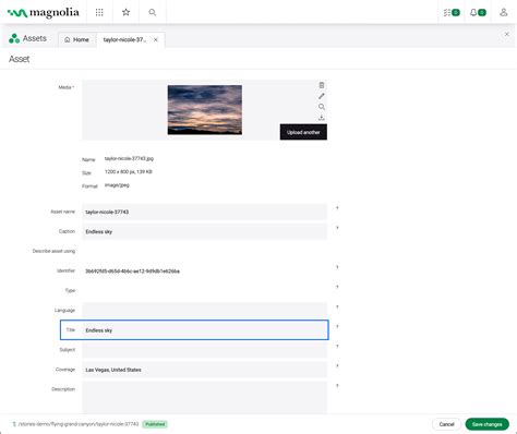 Asset Metadata Magnolia Cms Docs