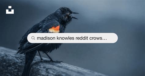 Madison Knowles Reddit Crowsnest Pass Pictures Download Free Images