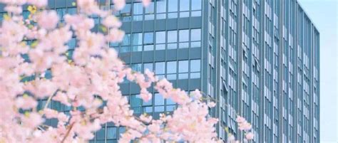 抓紧时间！这些花再不赏就要错过啦！ 樱花 恩施 油菜花