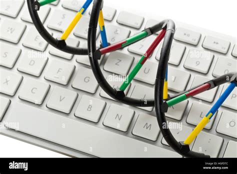 DNA Molecule Model On Computer Keyboard Artificial Intelligence Concept Stock Photo Alamy