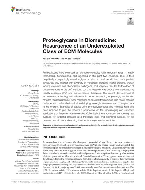 Pdf Proteoglycans In Biomedicine Resurgence Of An Underexploited