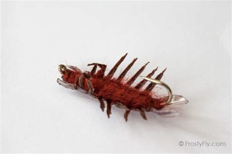 Realistic Hellgrammite Fly Frostyfly