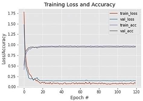Training Loss And Accuracy Curves Of Multi Classification Download